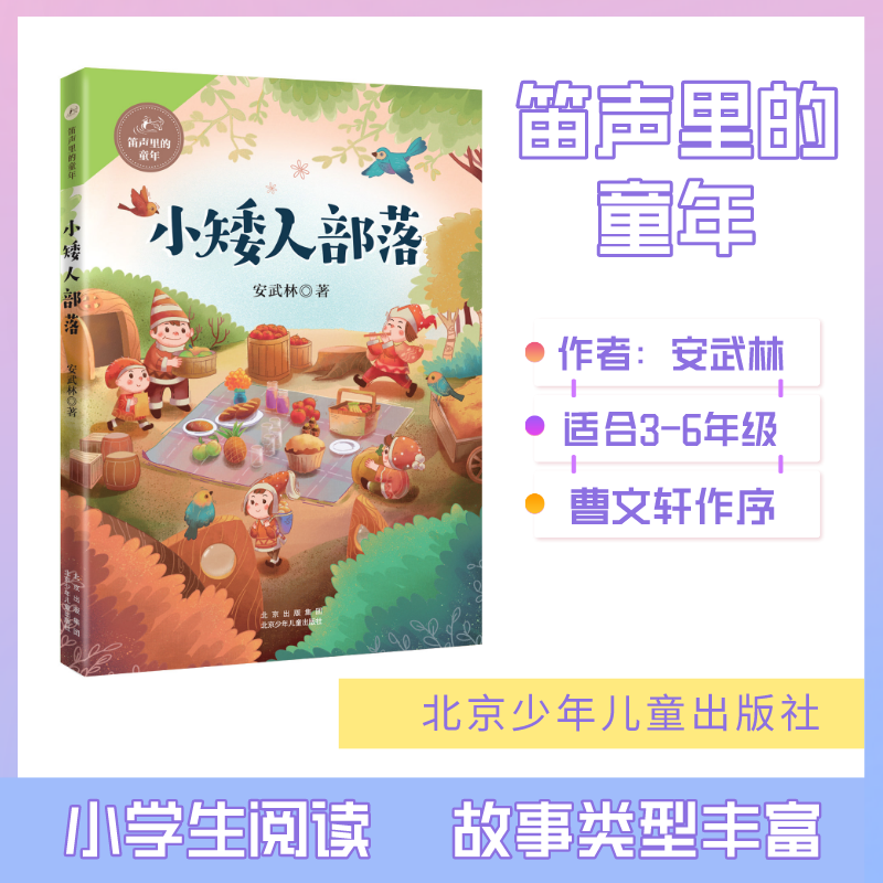 笛声里的童年 小矮人部落 安武林 北京少年儿童出版社