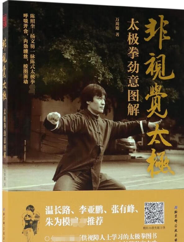非视觉太极(太极拳劲意图解)