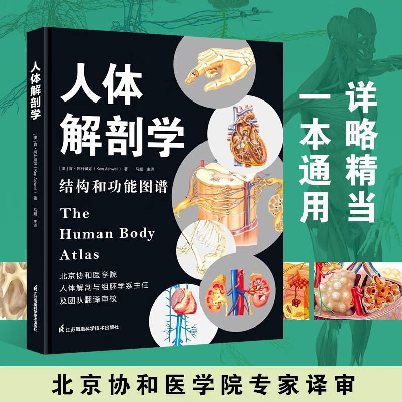 人体解剖学 结构和功能图谱 马超 北京协和医学院主任翻译人体解剖彩色图谱彩色学解刨学奈特书籍正常医学实用彩色学全彩彩图系统