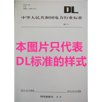 DL/T 1989—2019 电化学储能电站监控系统与电池管理系统通信协议