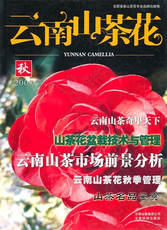云南山茶花