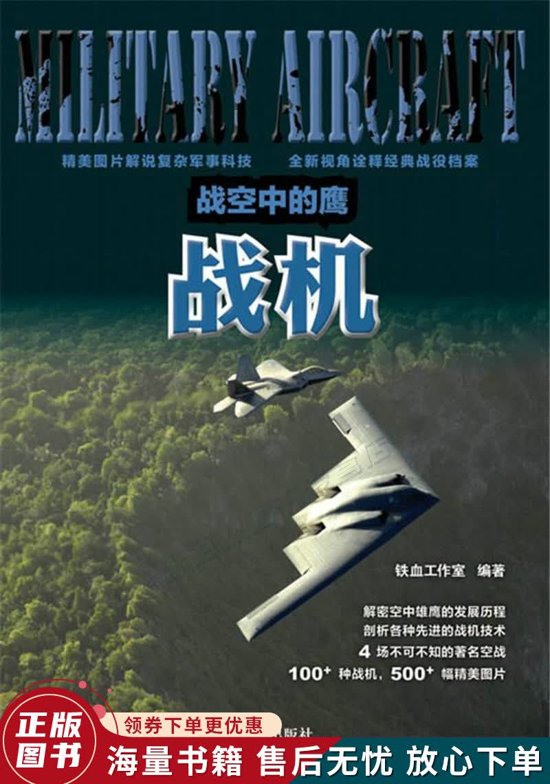 战空中的鹰：战机