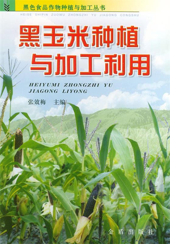 黑玉米种植与加工利用 张效梅 主编,段运平 等编著