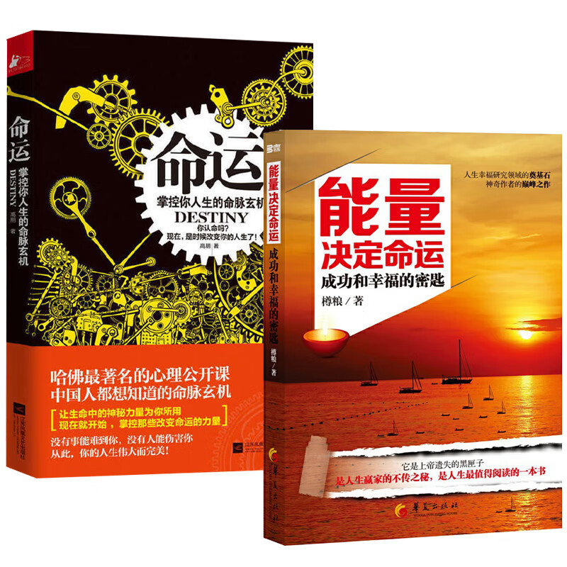 2册 能量决定命运+命运:掌控你人生的命脉玄机成功励志心灵修养书籍