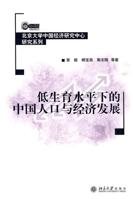 低生育水平下的中国人口与经济发展 曾毅 等著