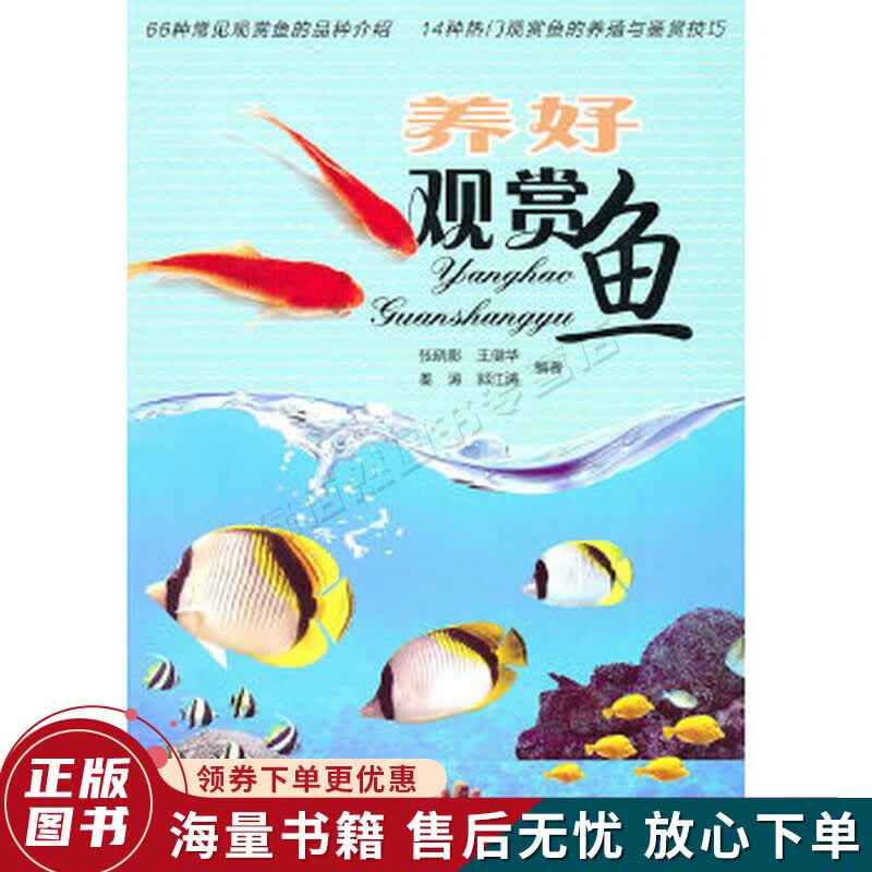 养好观赏鱼