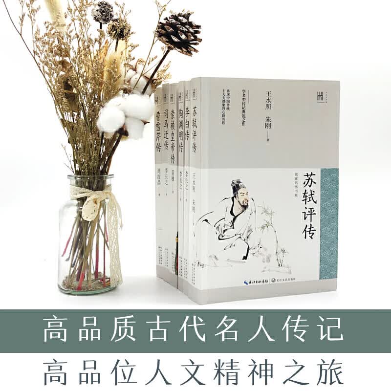 袁枚传/名家名传书系/长江人文馆 图书