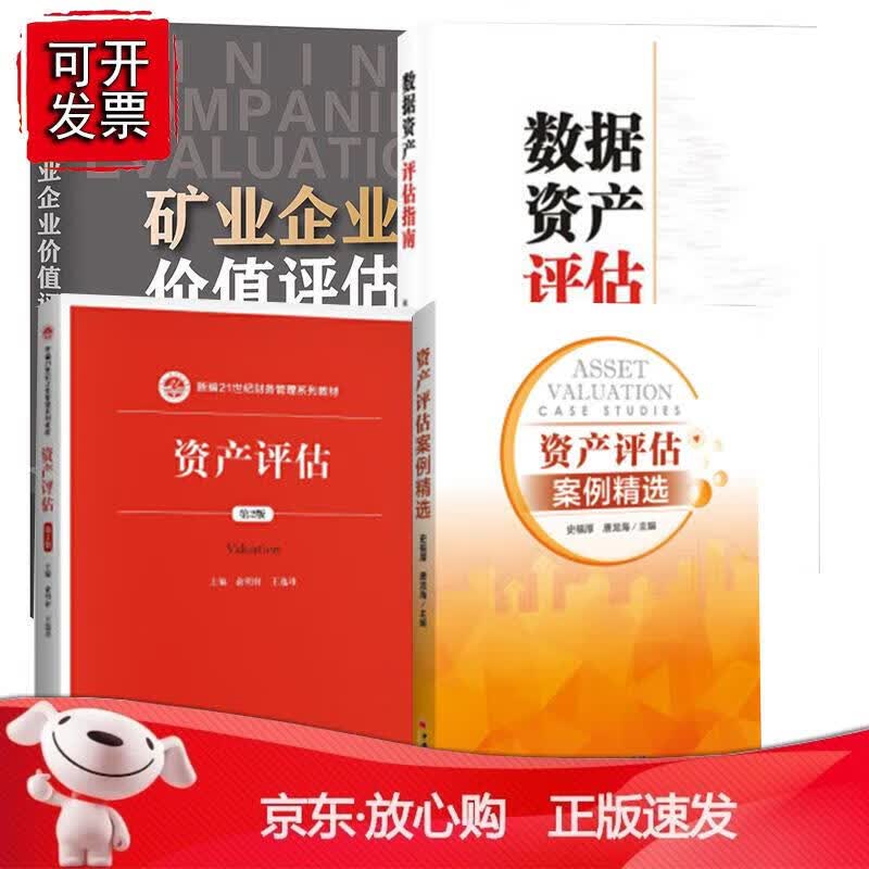 【全4册】数据资产评估指南矿业企业价值评估+资产评估（第2版）（新编21世纪财务管理系列教材）资产评