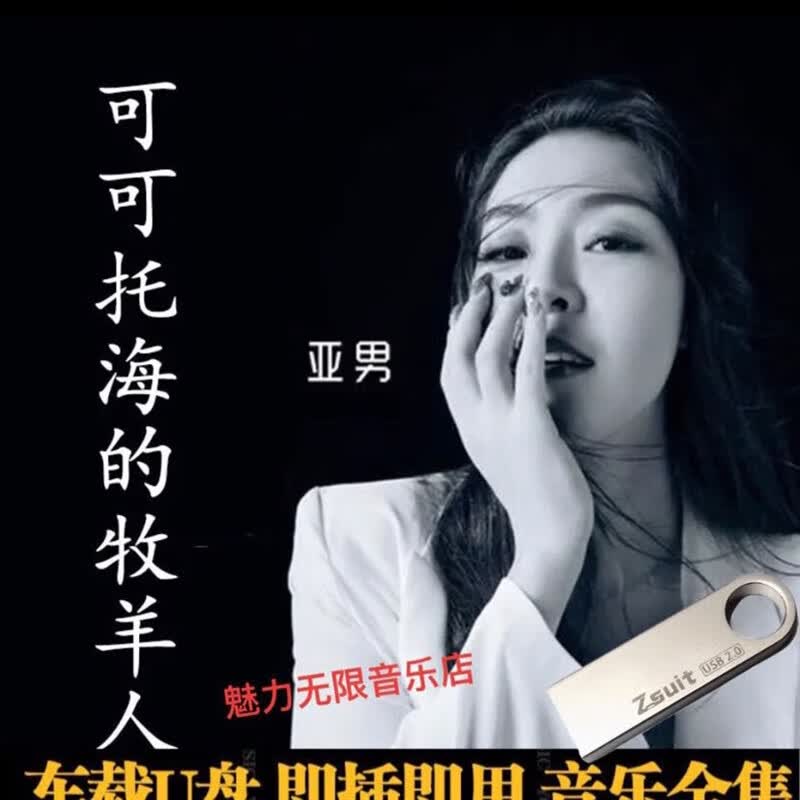 亚男专辑U盘 可可托海的牧羊人 流行网红热歌翻唱歌曲车载音乐mp3 8GB 3 8GB 3 8GB