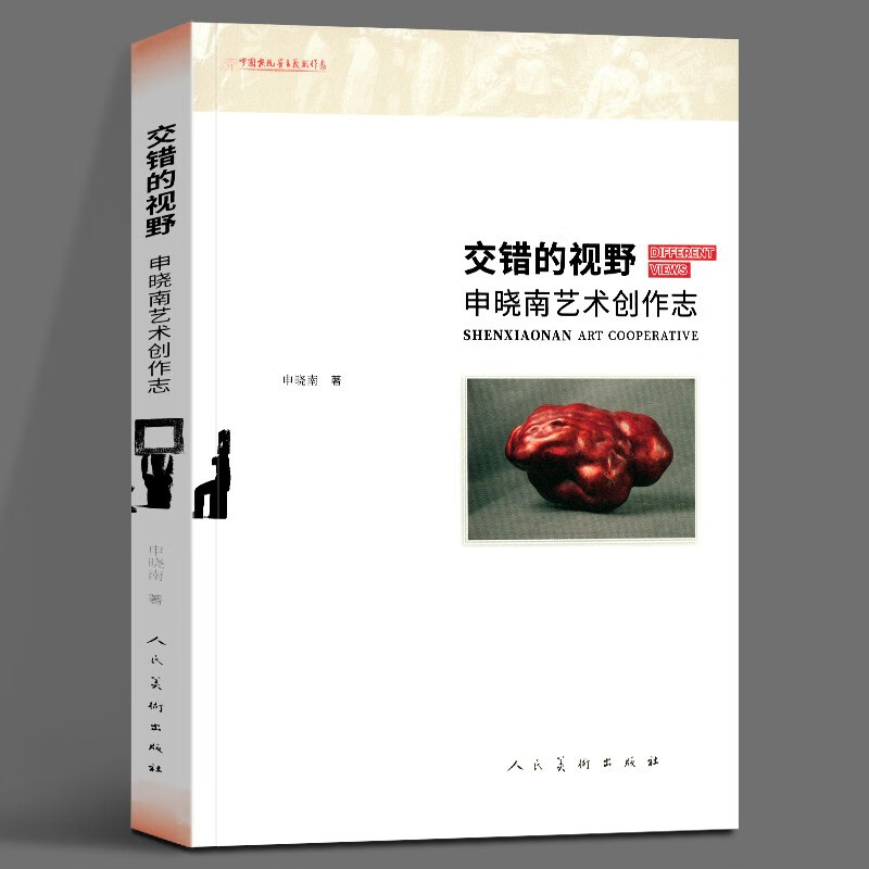 交错的视野(申晓南艺术创作志) 申晓南 著 人民美术出版社