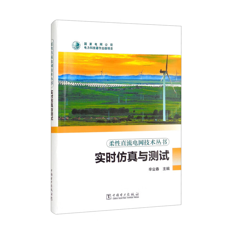 柔性直流电网技术丛书：实时仿真与测试