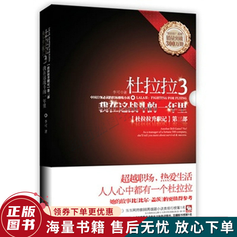 杜拉拉3：我在这战斗的一年里