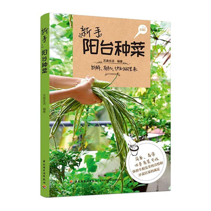 新手阳台种菜