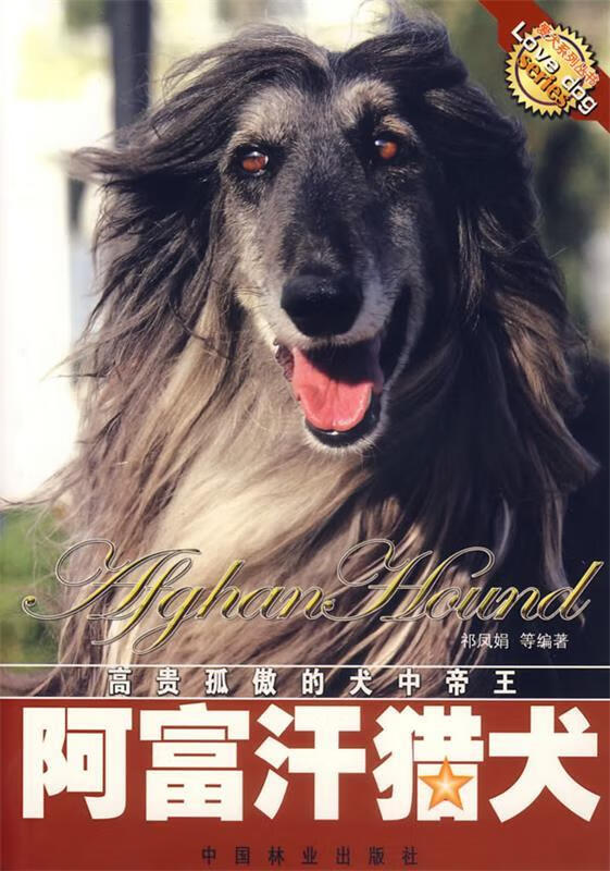 阿富汗猎犬 祁凤娟 等编著
