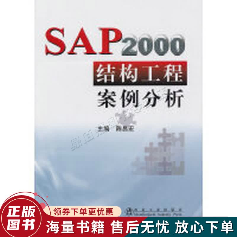 SAP2000结构工程案例分析