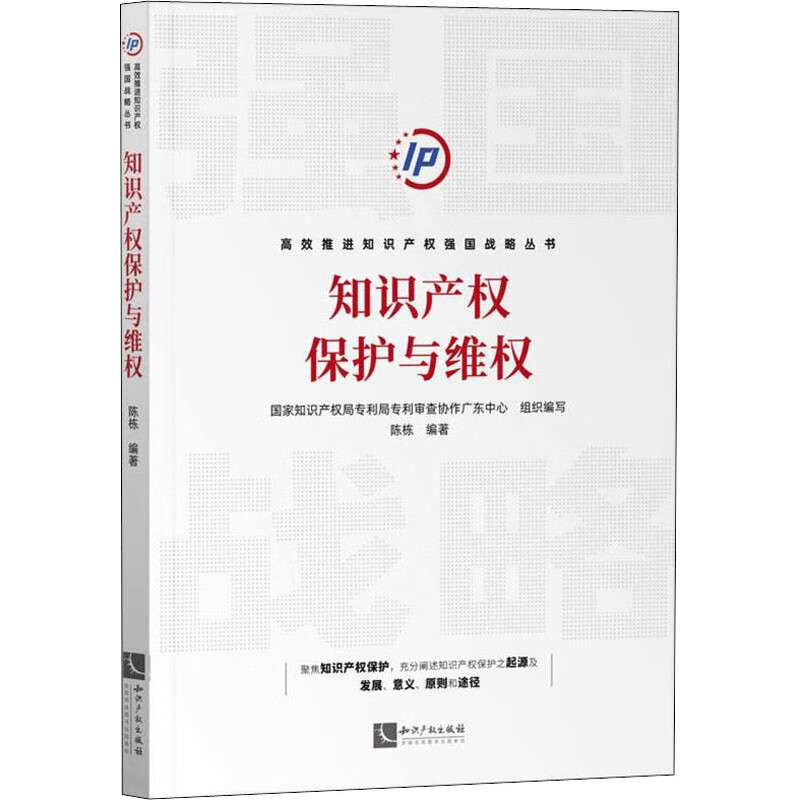 知识产权保护与维权