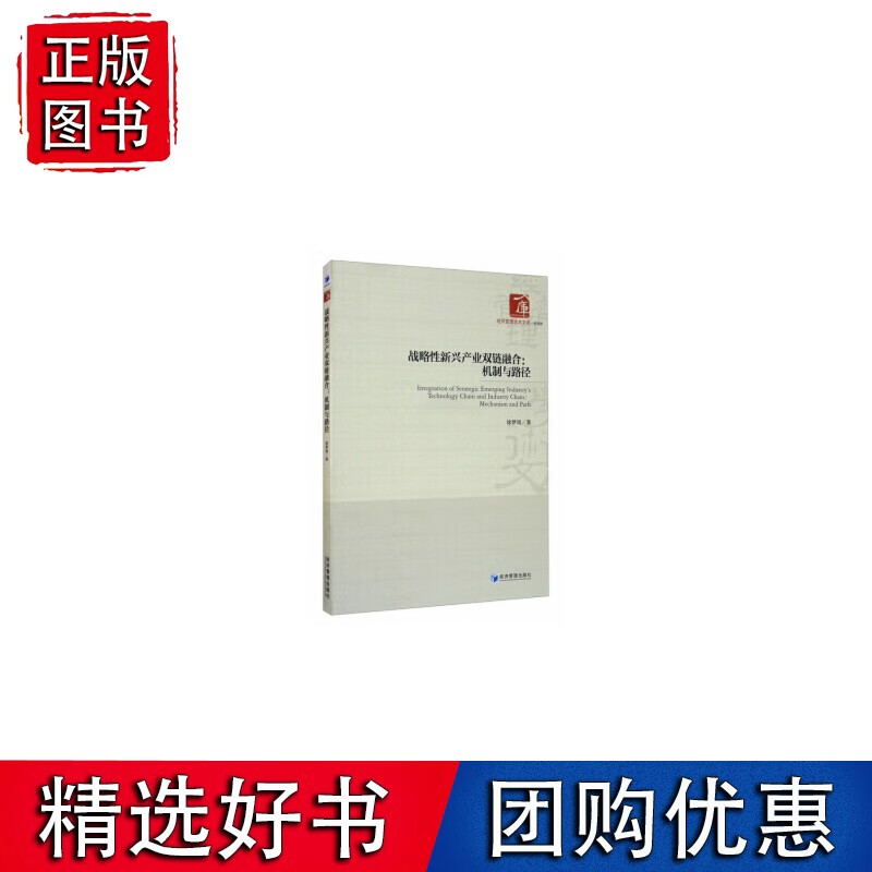 战略性新兴产业双链融合:机制与路径