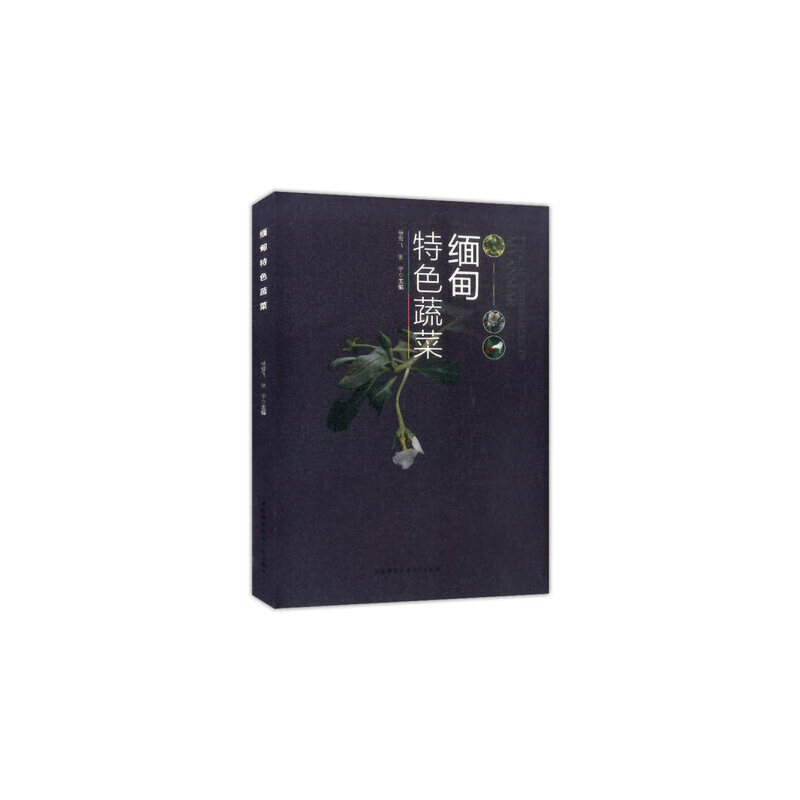 缅甸色蔬菜