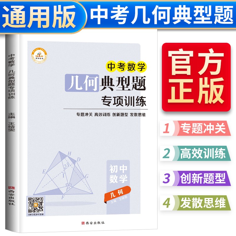 初中典型题专项训练·九年级中考几何 初中数学必刷题专项训练九年级几何解题方法与技巧高效训练典型题9年级易错题初三综合题