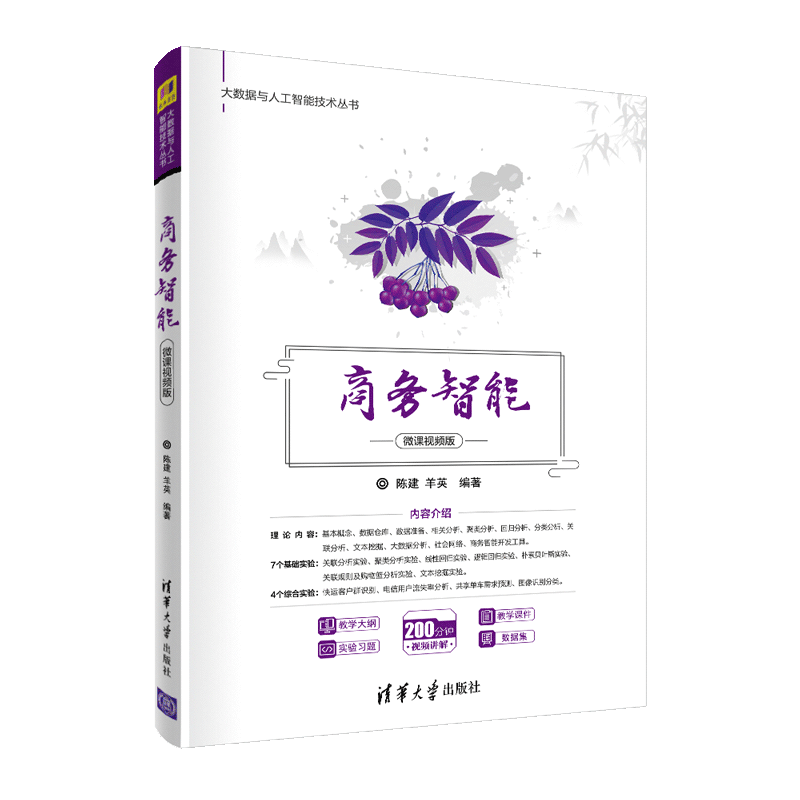 商务智能(微课视频版)
