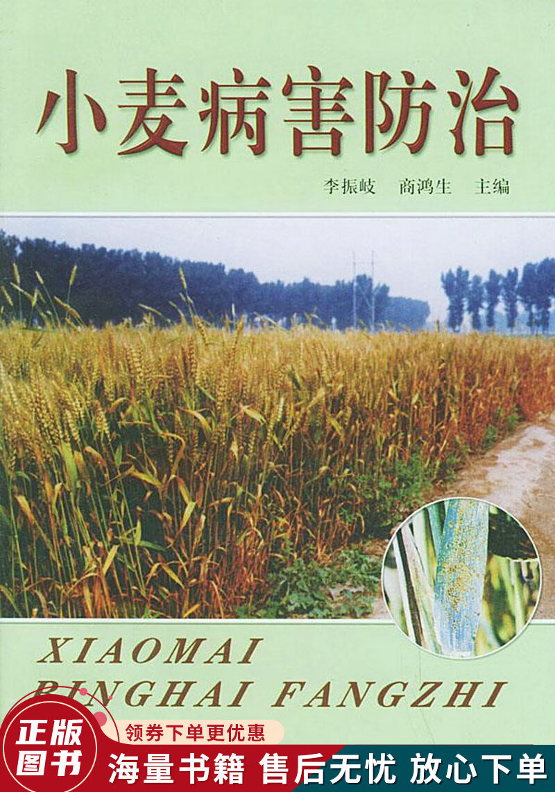 小麦病害防治