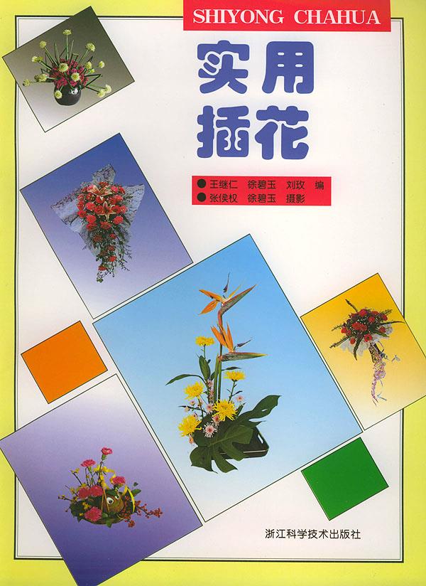 实用插花 王继仁 主编