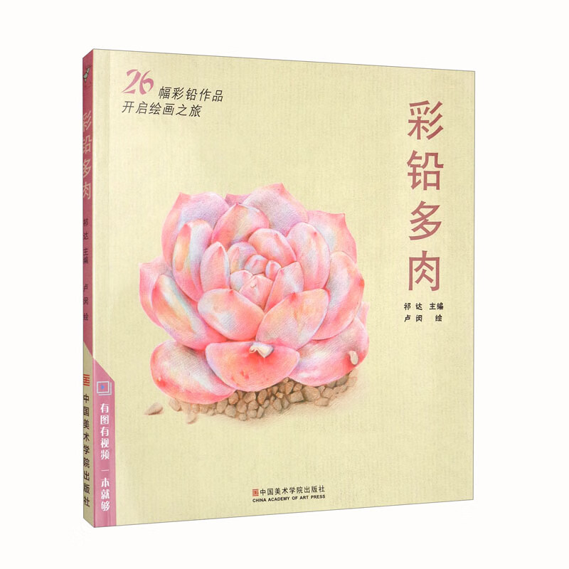 彩铅多肉