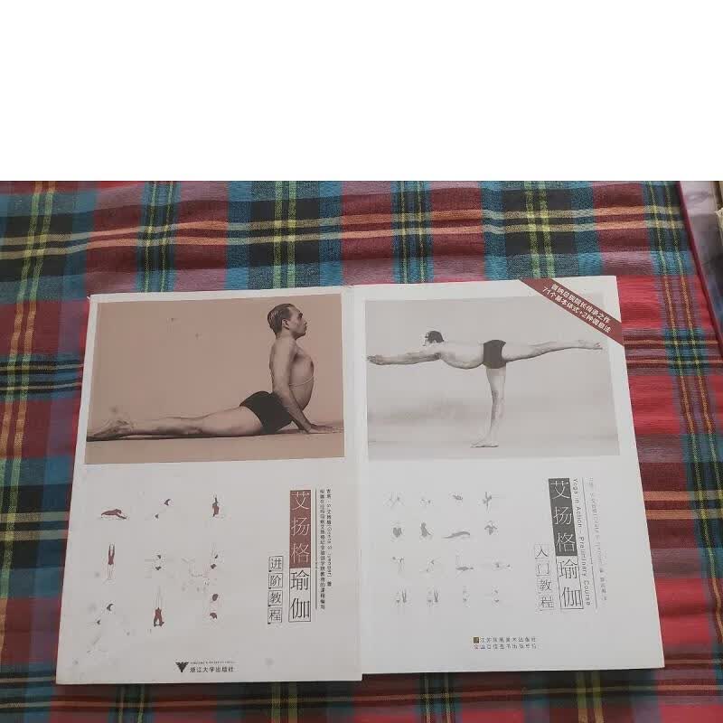 艾扬格瑜伽进阶教程+艾扬格瑜伽入门教程【两本和售】9787308166867浙江大学出版社