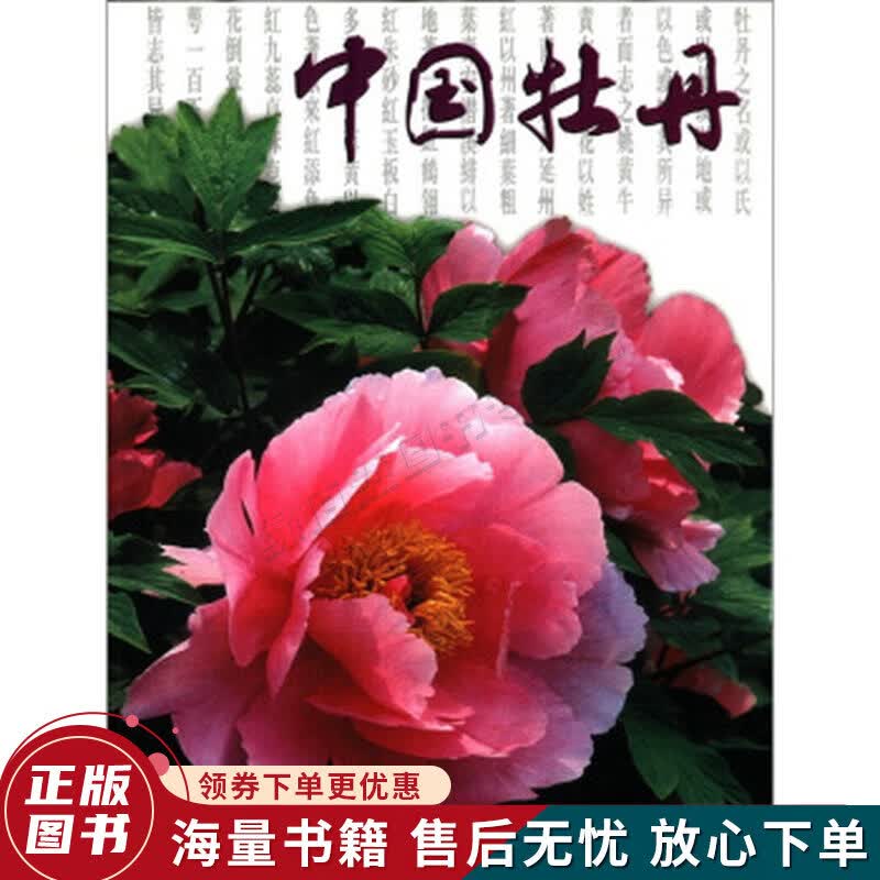中国牡丹
