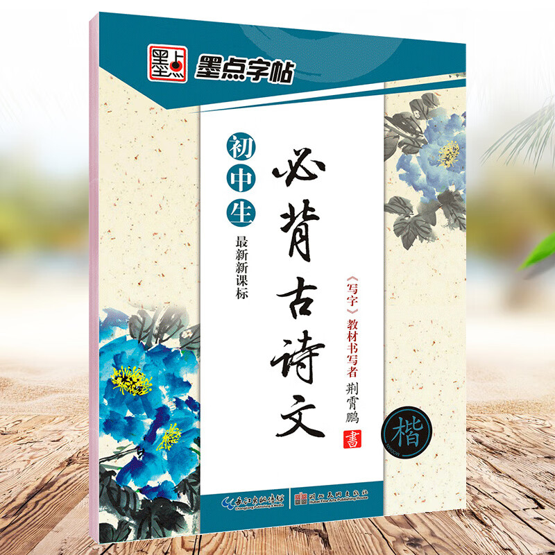 墨点字帖初中生钢笔字帖 初中生必背古诗文(楷书)中考古诗词短语正楷书楷体字帖练字帖硬笔正楷古诗文词楷 标准 #20