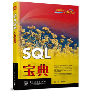 SQL宝典 田彬 等