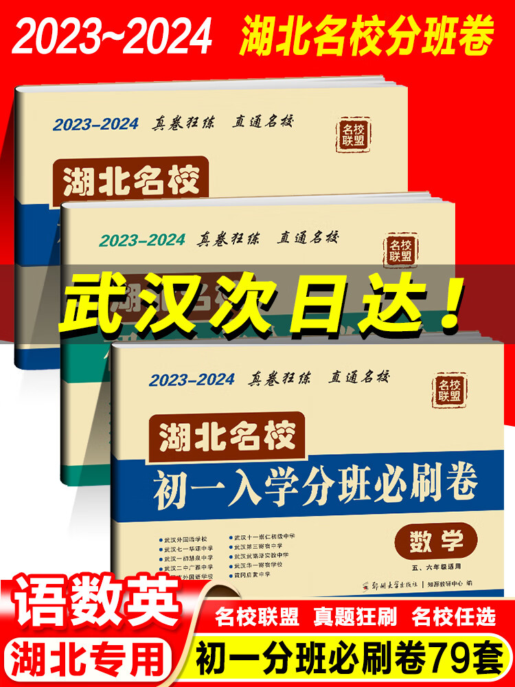 湖北名校小升初真题试卷人教版五六年级毕业生考试小升初真题卷2023语文数学初一入学分班必刷卷武汉小学毕业 湖北名校*初一入学分班卷语文（ 小学六年级