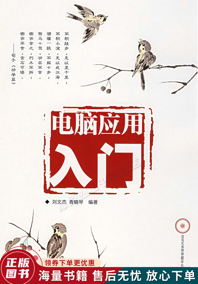 电脑应用入门