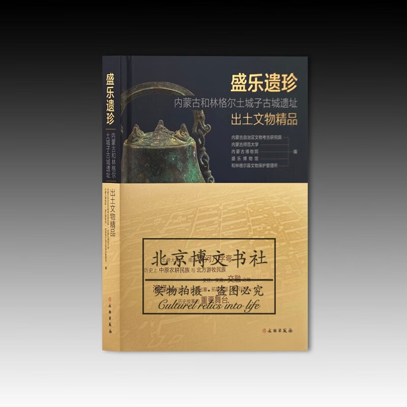 盛乐遗珍：内蒙古和林格尔土城子古城遗址出土文物精品【精】