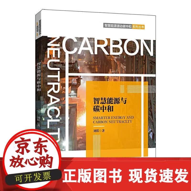 智慧能源与碳中和 刘琪 9787560660745