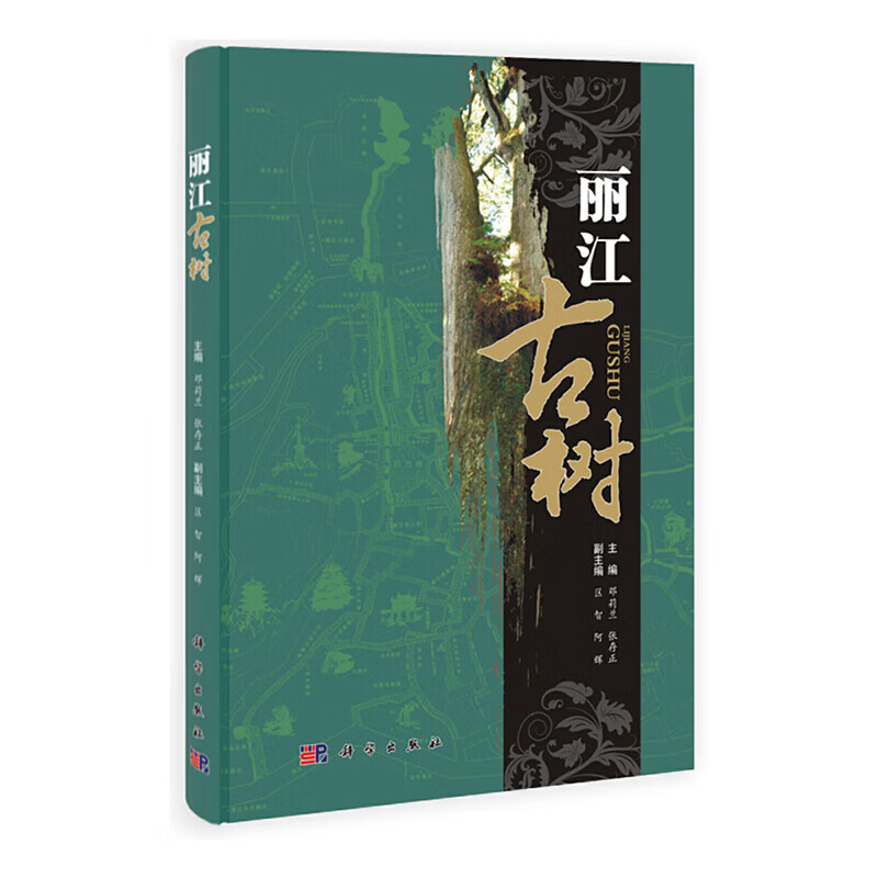 丽江古树