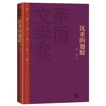 茅盾文学奖获奖作品全集 精装版：沉重的翅膀 张洁著 人民文学出版社