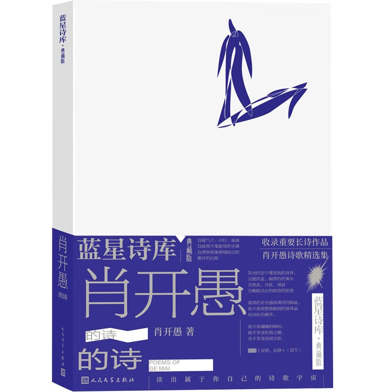 肖开愚的诗（蓝星诗库·典藏版）