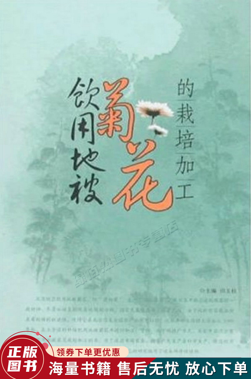 饮用地被菊花的栽培加工