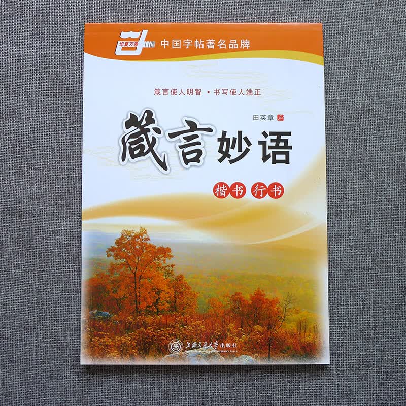 字帖唐诗宋词名家散文楷书入门速成技法教程笔画偏旁间架结构常用7000字控笔训练田英章卢中南吴玉生正楷行书行楷钢笔书法 箴言妙语(楷书行书)田英章
