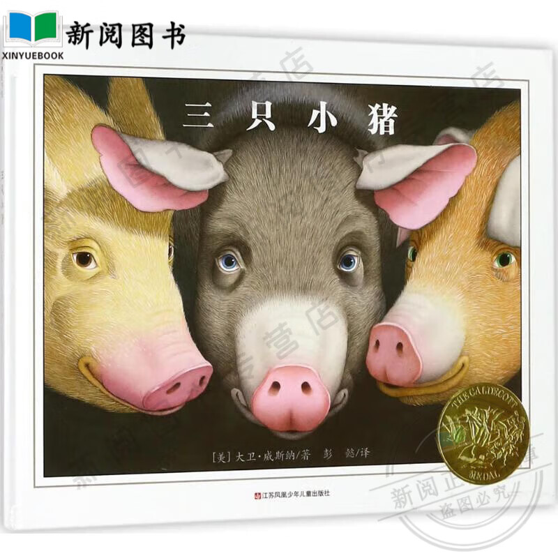 自选书籍】曹冲称象 陈寿 杨永青绘二年级课外阅读坐井观天有故事的汉字 挤挤城和宽宽街任溶溶 成语故事绘本版帐篷小猪绘本高洪波皮皮鲁与鲁西西之罐头小人 少年英雄王二小非李心田绝对小孩 三只小猪绘本 大卫