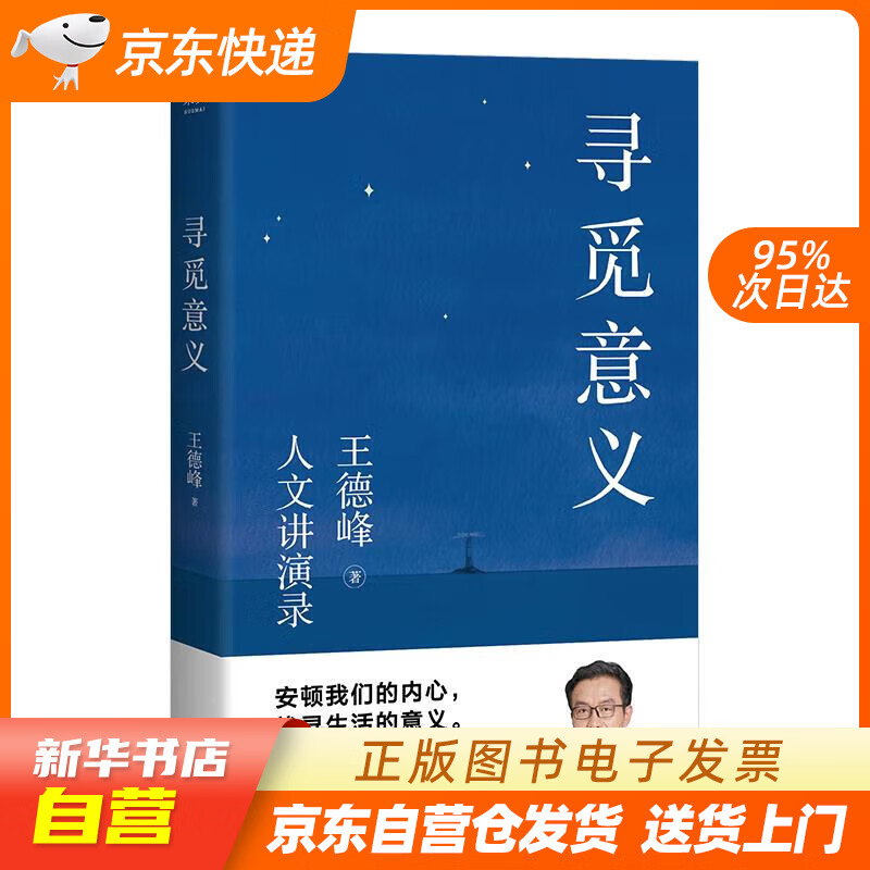 寻觅意义 王德峰 山东文艺出版社