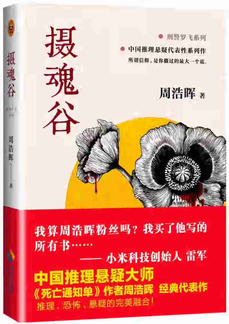摄魂谷【好书】