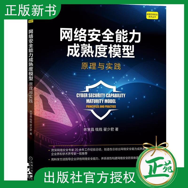 网络安全能力成熟度模型 原理与实践 林宝晶 钱钱 合规风险数据溯源等阶段推进网络安全