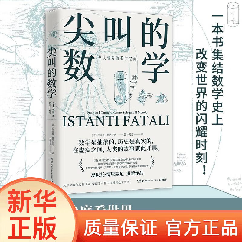 尖叫的数学 令人惊叹的数学之美（国际数学杂志《数学史》前主编翁贝托·博塔兹尼带你从数学的角度看世界）XN 尖叫的数学