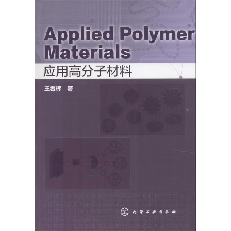 Applied Polymer Materials 王者辉 著 9787122265944【