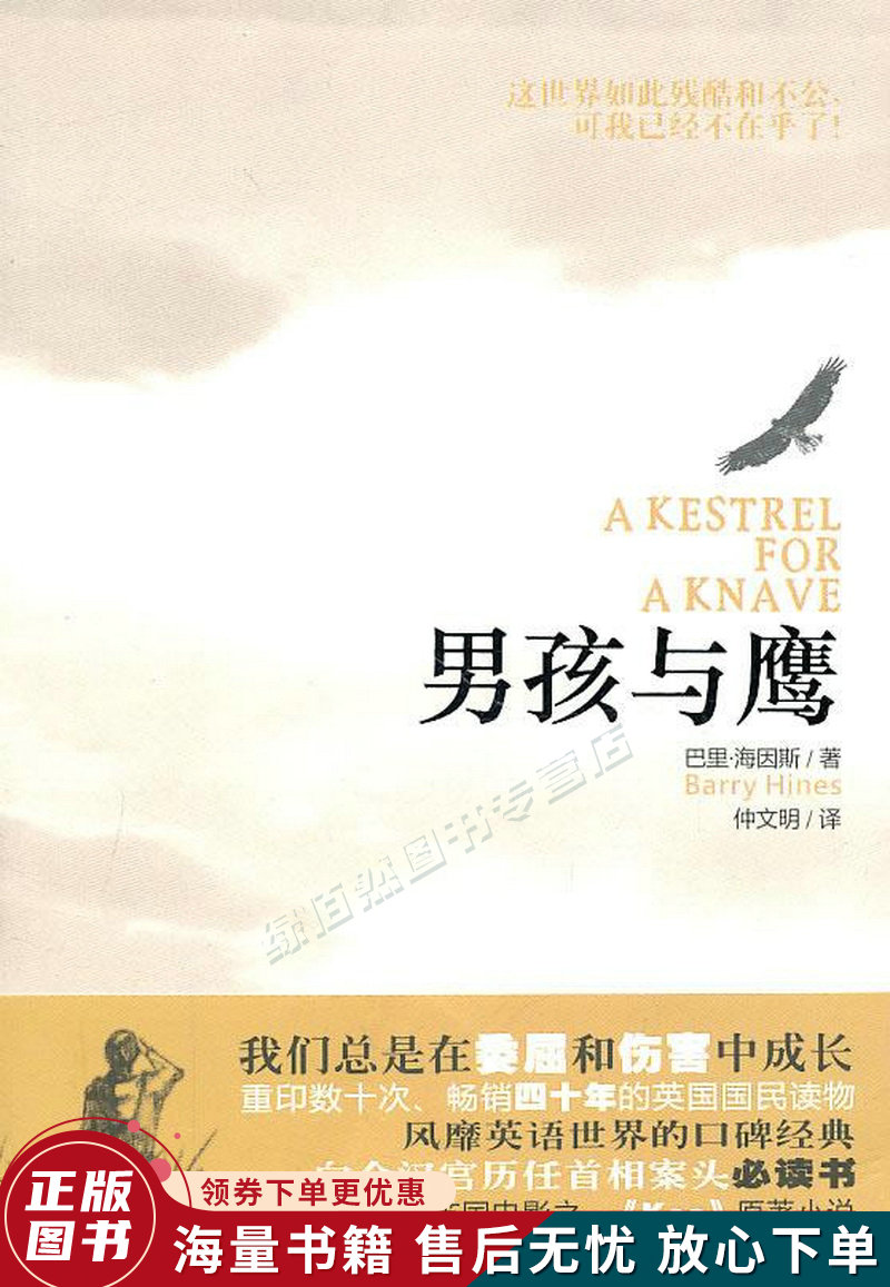 男孩与鹰