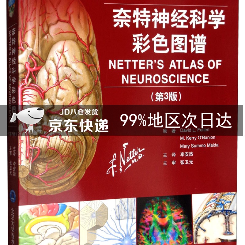 奈特神经科学彩色图谱（第3版）