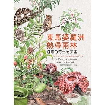 《東馬婆羅洲熱帶雨林：崩落的野生物天堂》書林600