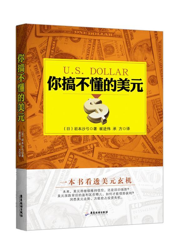 你搞不懂的美元 岩本沙弓